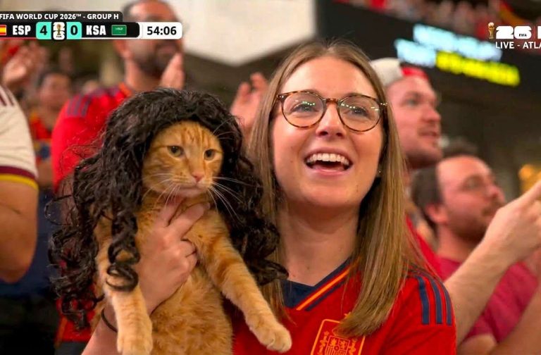 Marc Cucurella Cat Meme: Everything You Need To Know About Caturella ...